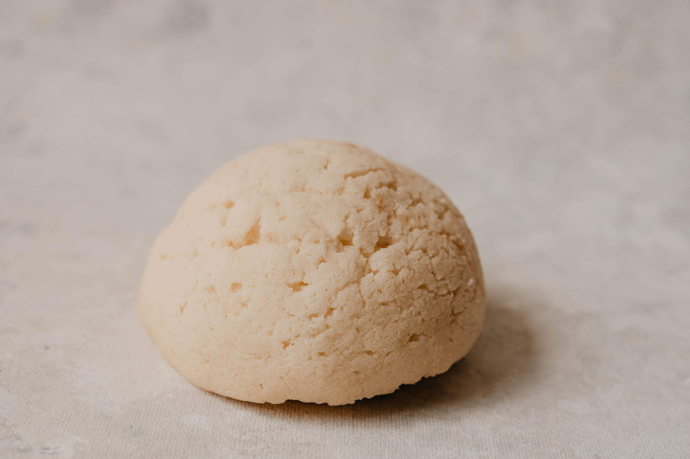 Concha Mini – Nugat MX